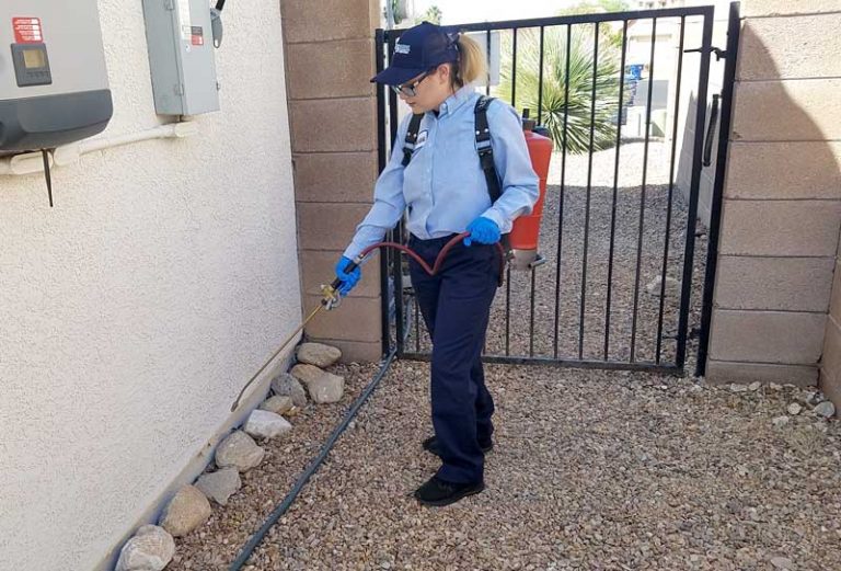 Tucson, AZ Pest Control | Essential Pest Control